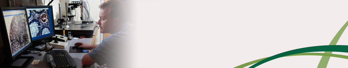 Pathology Residency Program